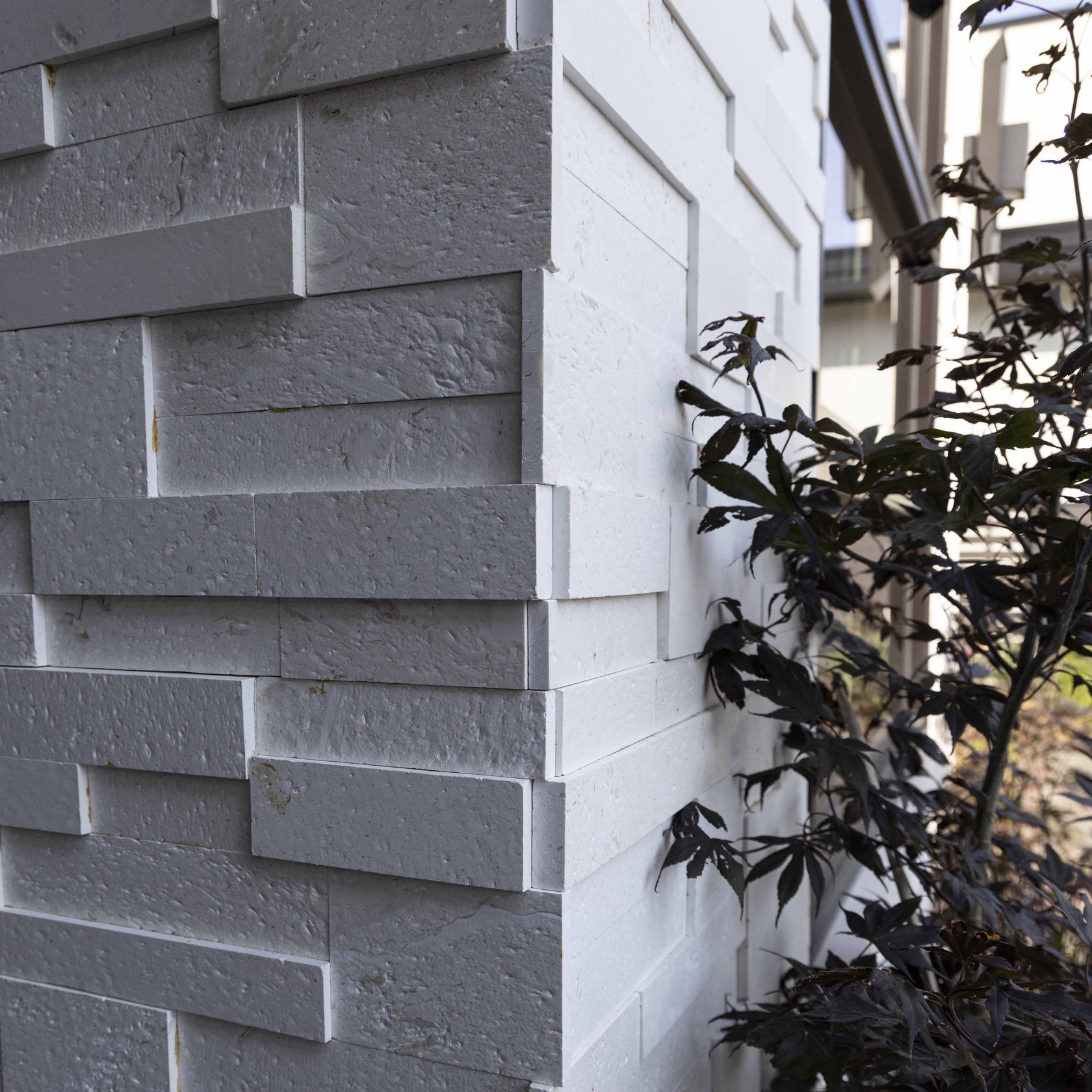 3D, Myra Limestone – Source for Stone